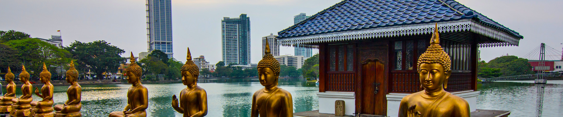 Flylink Lanka | Sri Lanka Travel Experts | Tailored Tours & Adventures