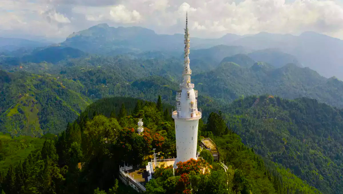 Flylink Lanka | Sri Lanka Travel Experts | Tailored Tours & Adventures